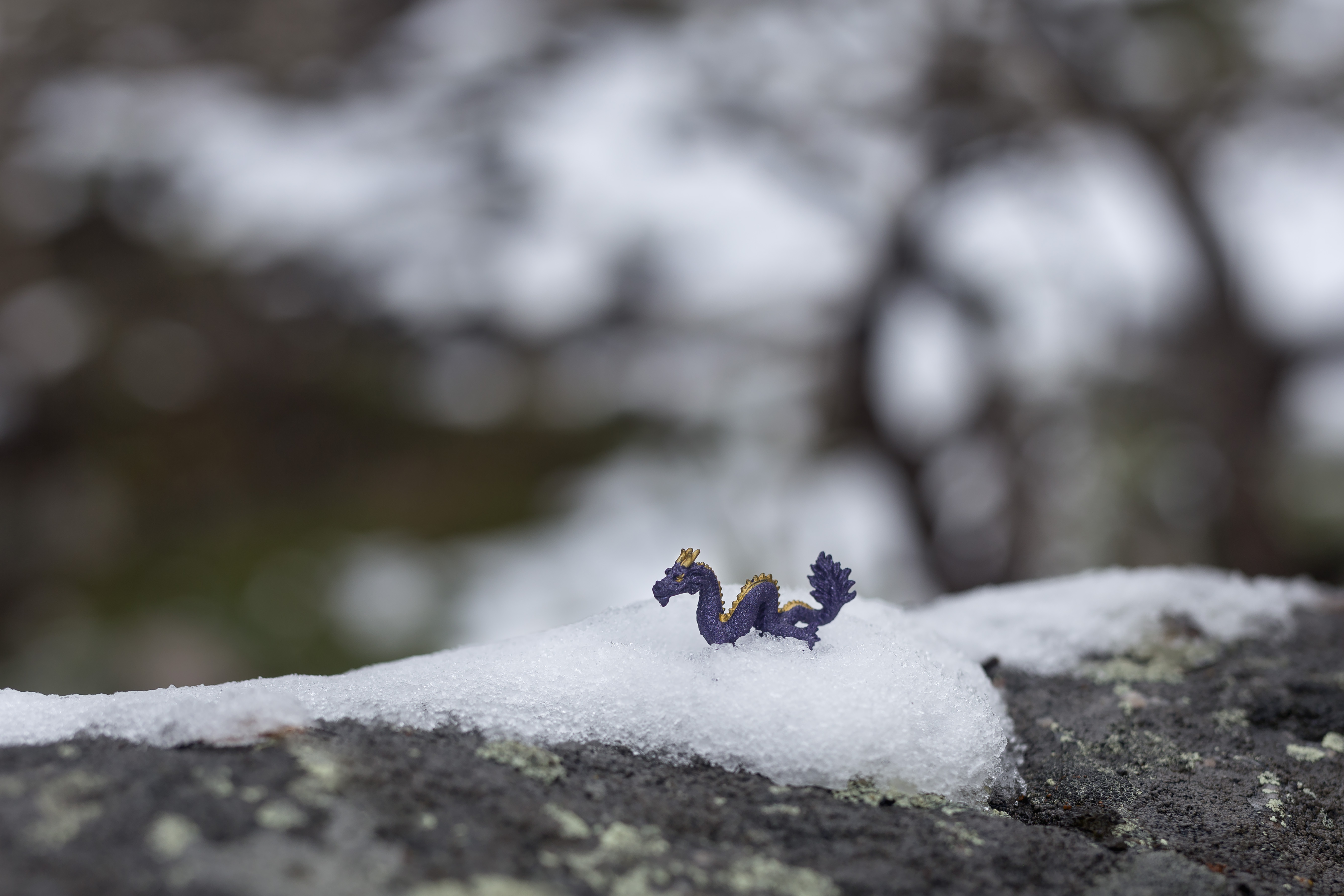 Galleries – Copeland Photography